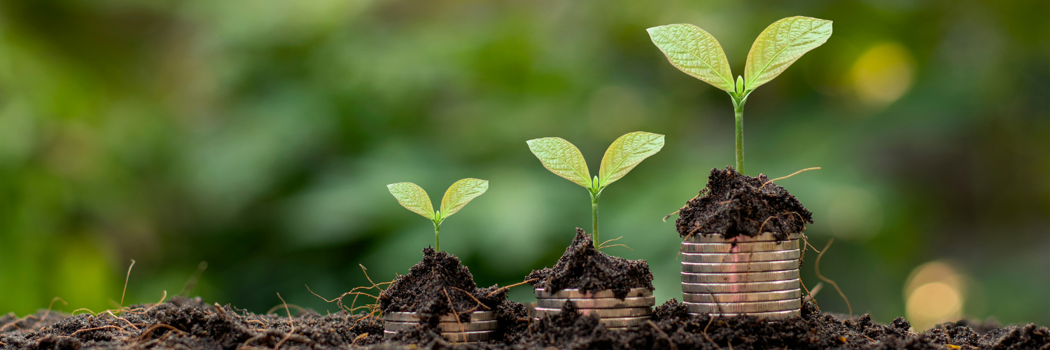 Anchor Capital's Income Investing: Harnessing the Power of Compounding